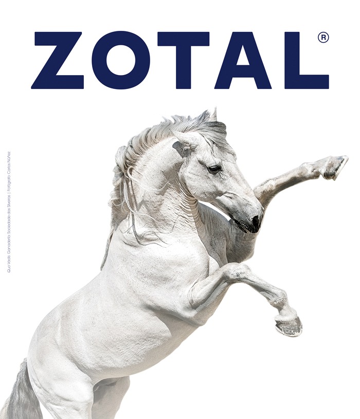 Zotal Laboratorios presenta su Calendario 2015 | Canal Zotal